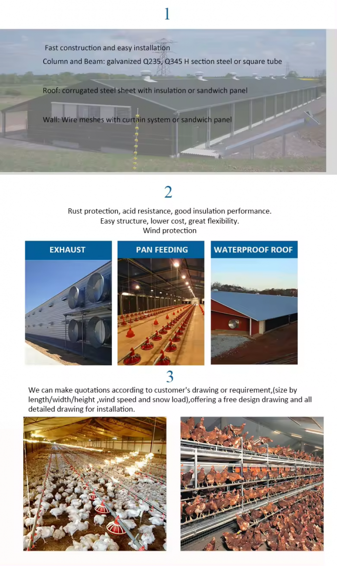 Automatic Chicken Layers Steel Structure Poultry House OEM