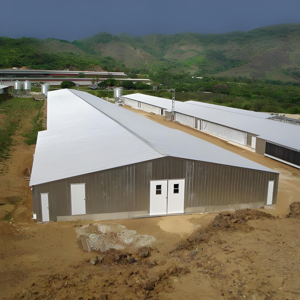Customization Prefabricated Steel Structure Poultry House For 10000 ...